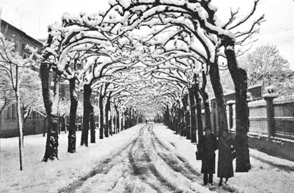 Diversidad de la diversidad / Fernando Broncano | Sociología crítica